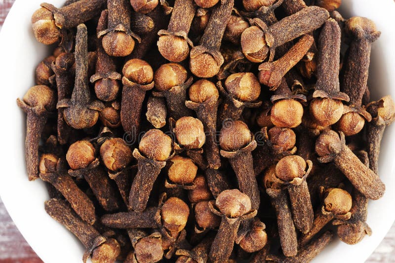 Cloves stock image. Image of spices, white, herbs, stick - 46045373