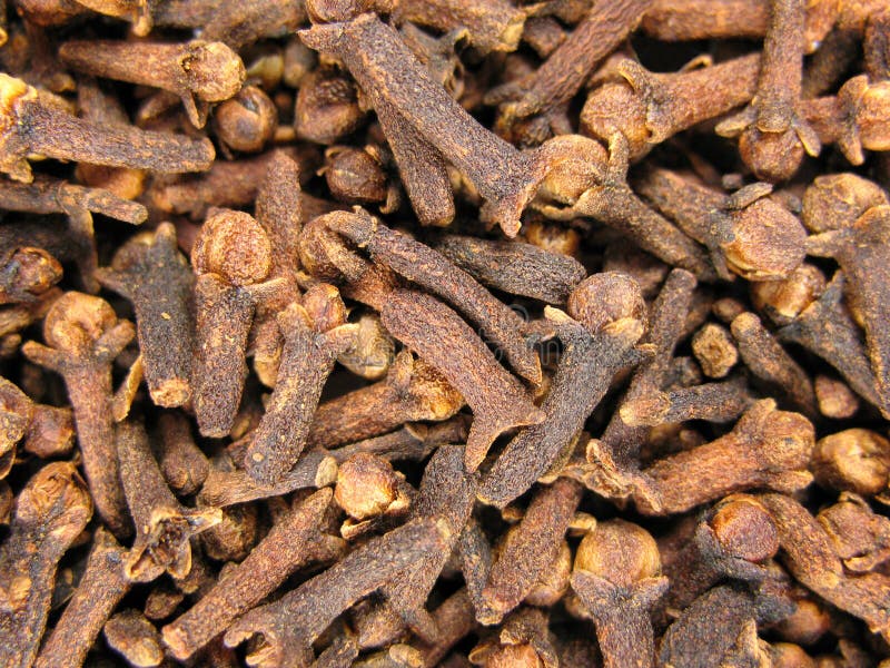 Clove, macro stock image. Image of pungent, woody, flavour - 190443