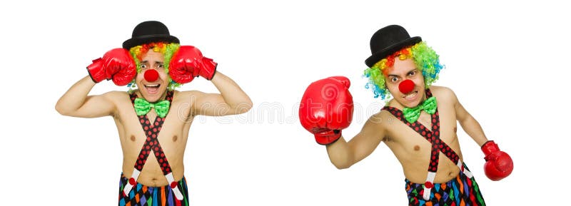 The Clown with Boxing Gloves Isolated on the White Stock Image - Image ...