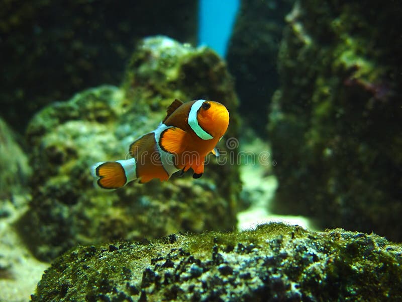 Movie Theather Ceiling Stock Photos - Free & Royalty-Free Stock Photos ...