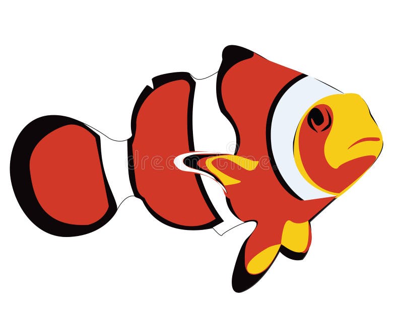 Fish stock vector. Illustration of fish, child, rainbow - 828808