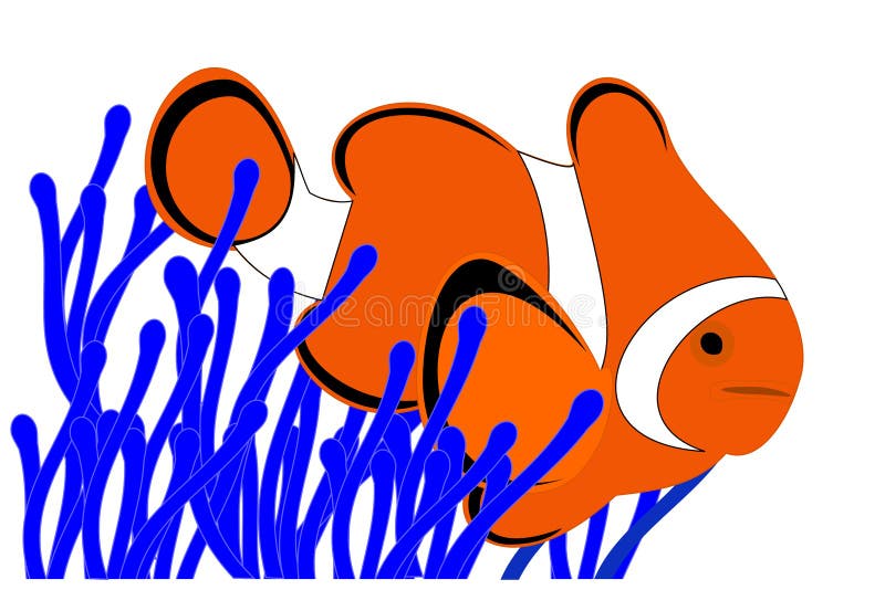 Anemone Fish Stock Illustrations – 9,383 Anemone Fish Stock ...