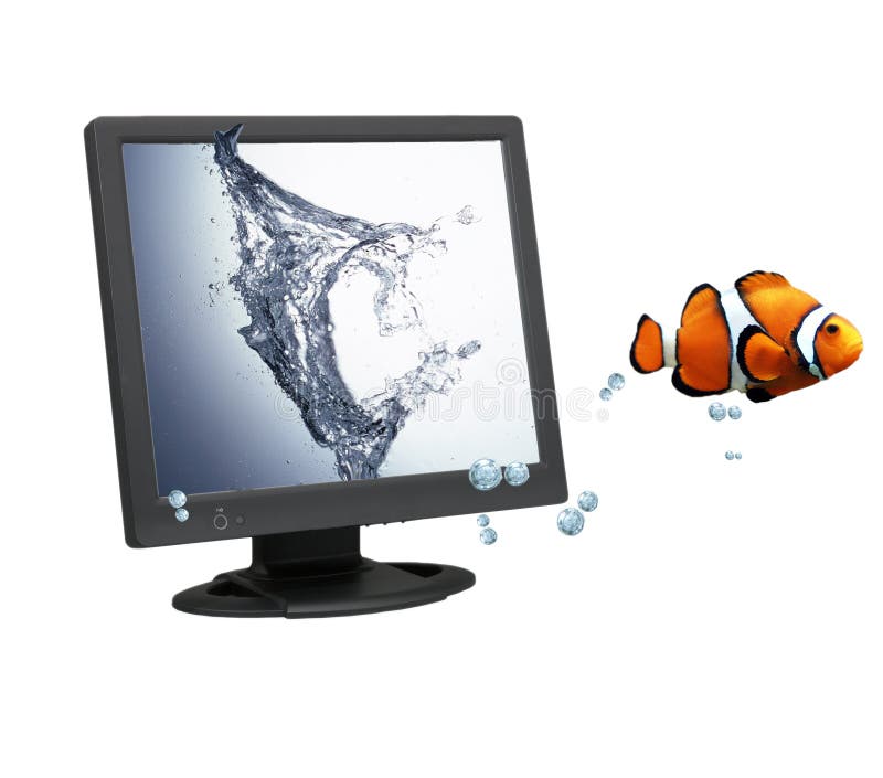 Gold Fish and Computer Monitor Stock Image - Image of wide, visual: 2599461
