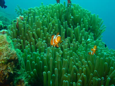 Search Point Nemo Nigeria Stock Photos - Free & Royalty-Free Stock ...