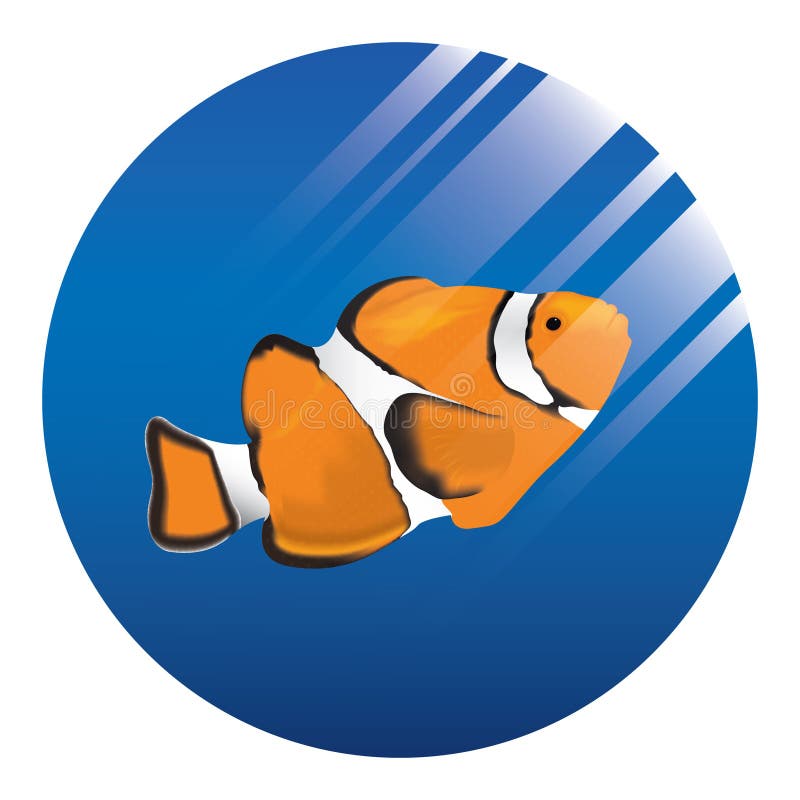 Clown Fish. Vector Illustration Decorative Design Stock Vector ...