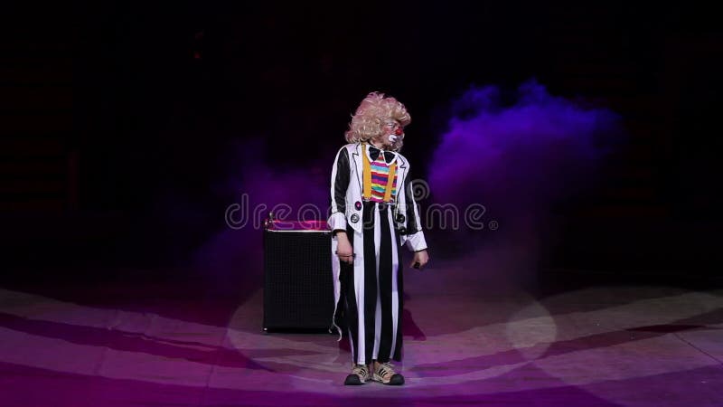 Clown Performance in the Circus Stock Footage - Video of buffoon, adult ...
