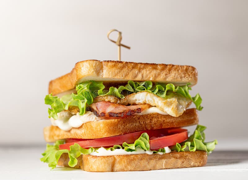 Club Sandwich on Grey Background Stock Photo - Image of meat, sandwich ...