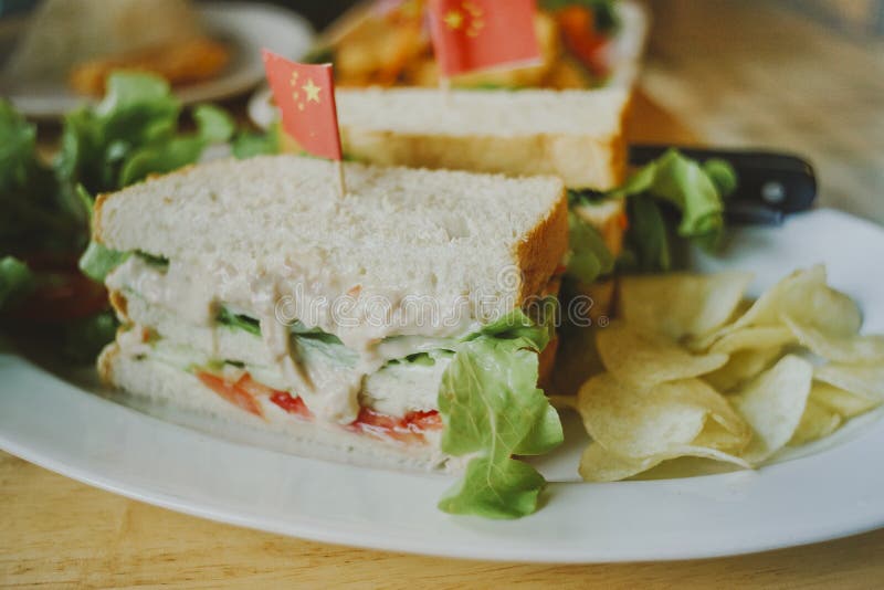 Club sandwich stock photo. Image of sliced, focus, snack - 116461584