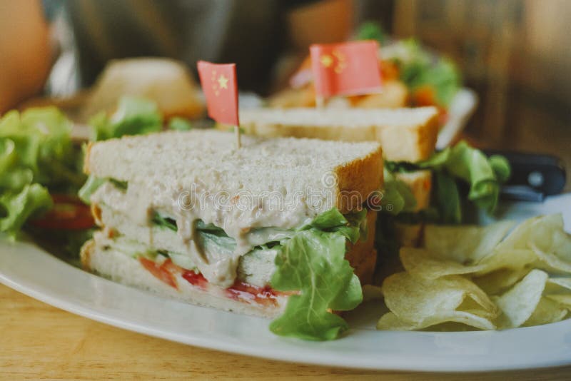 Club sandwich stock photo. Image of people, plate, group - 116461700