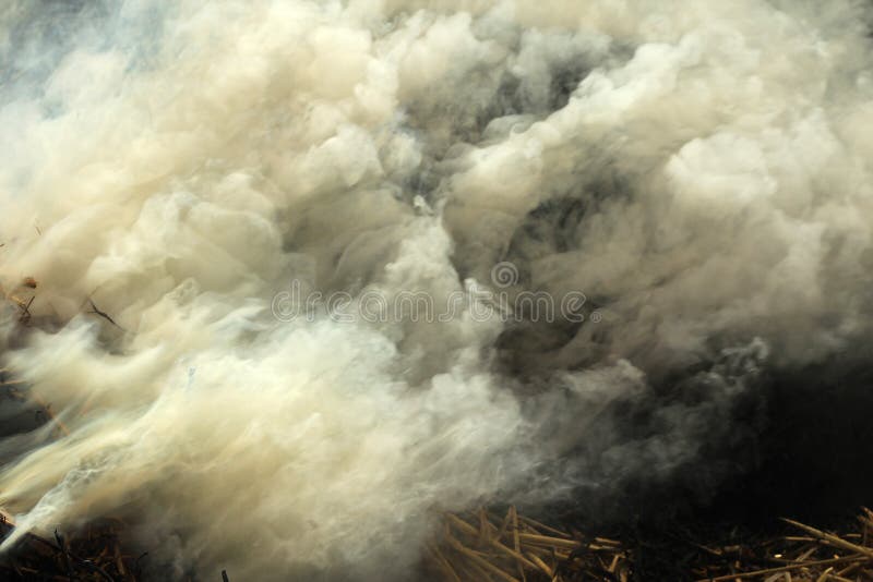 Clubs Acrid Smoke of Burning Hay Background Stock Image - Image of ...