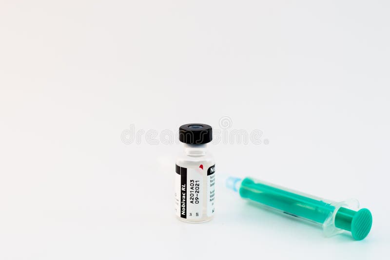 Cluj-Napoca/Romania-10 24 2019: Nobivac RL Editorial Stock Image ...