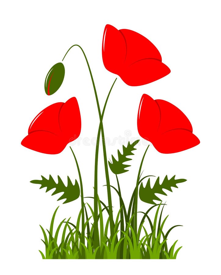 Poppies Corn Field Stock Illustrations – 245 Poppies Corn Field Stock ...