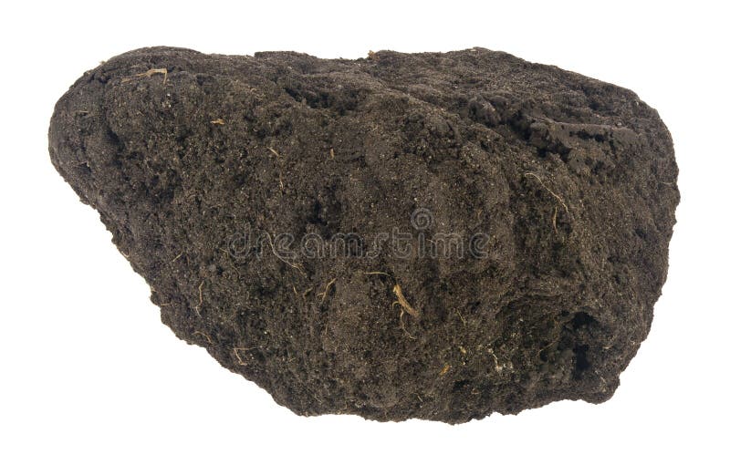 Clump of Soil, Soil Isolated on a White Background Close-up Stock Photo ...