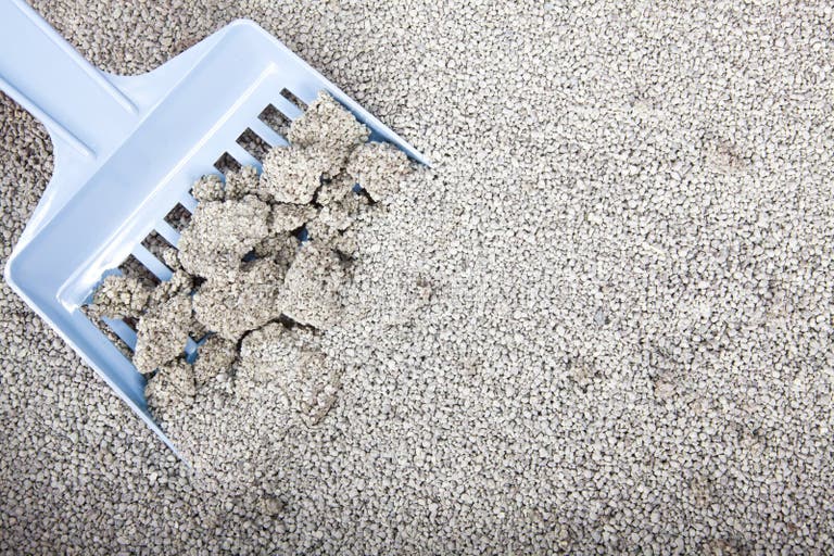 Clumping Cat Litter stock photo. Image of clean, clumping - 15719378