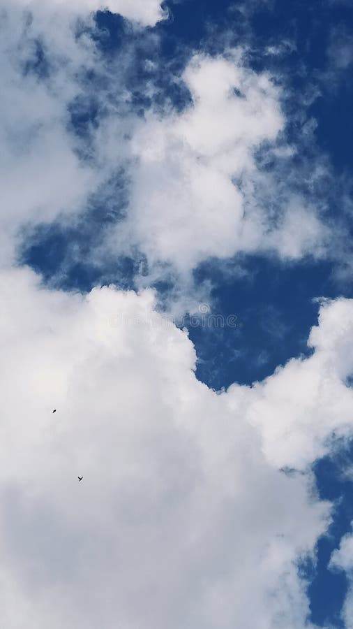 Clumpy Clouds in the Blue Sky in Summer Stock Photo - Image of blue ...