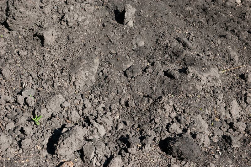 Clumpy Earth Texture with Small Mounds a Natural Soil Background Stock ...