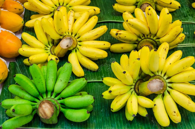A cluster of raw banana stock image. Image of tree, asia - 171029717