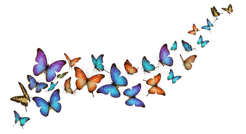 A Cluster of Butterflies in Flight, Isolated on a White Background ...