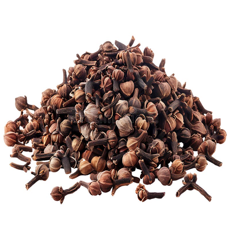 A Cluster of Cloves Rests Undisturbed Stock Illustration - Illustration ...