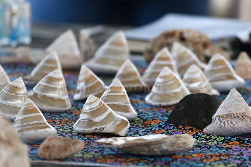 A Cluster of Conical Shells on a Colourful Cloth Stock Image - Image of ...