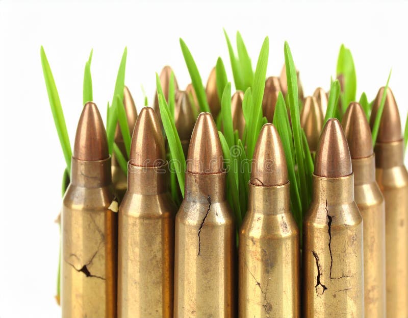 A Cluster of Cracked Bullets with Fresh Green Grass Growing through the ...