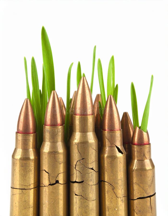 A Cluster of Cracked Bullets with Fresh Green Grass Growing through the ...