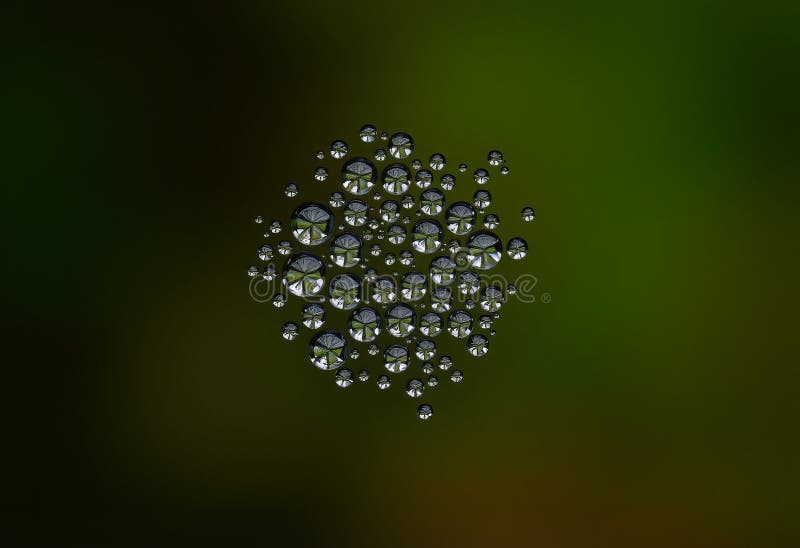 A Cluster of Droplets of Water Forming a Delicate Pattern Stock Image ...