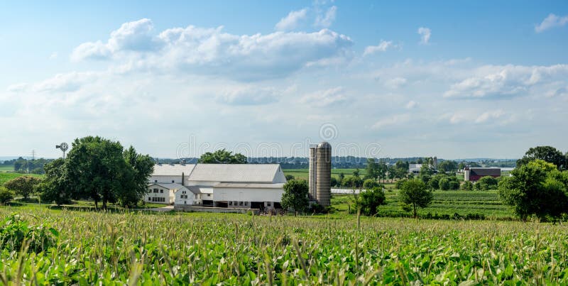 Farm Buildings and Fields stock image. Image of farm - 97090503