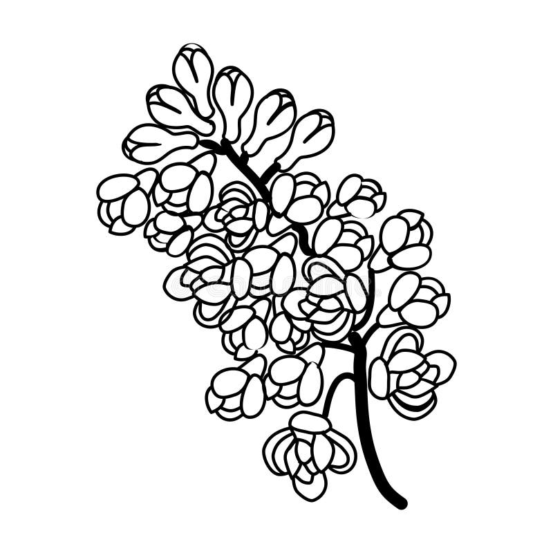 Cluster Floral Hand Drawn. Vector Design Illustration Sign Stock ...