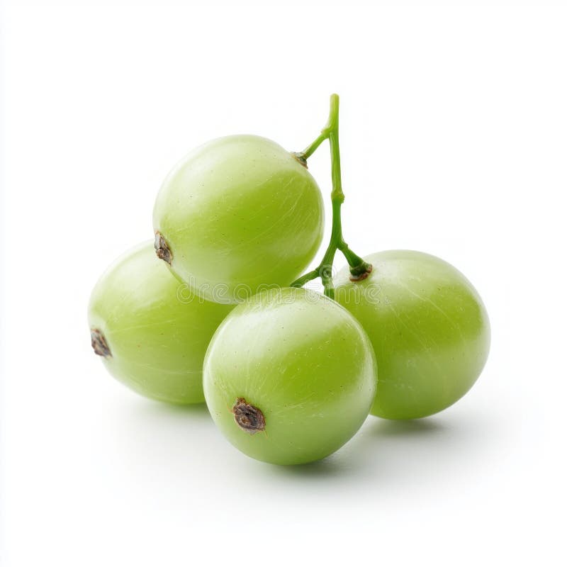 Fresh Amla Cluster stock photo. Image of amla, heap - 367334438