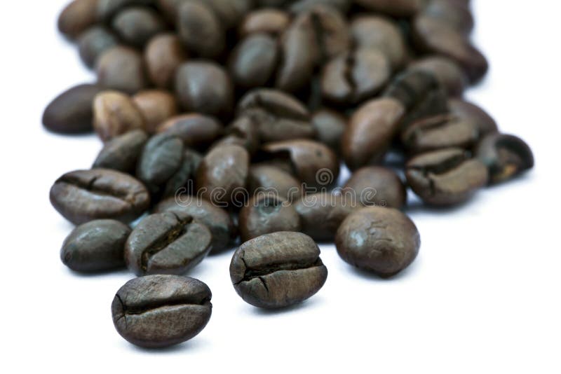 Coffee in Cluster of Thick Foliage Stock Photo - Image of beans, lour ...