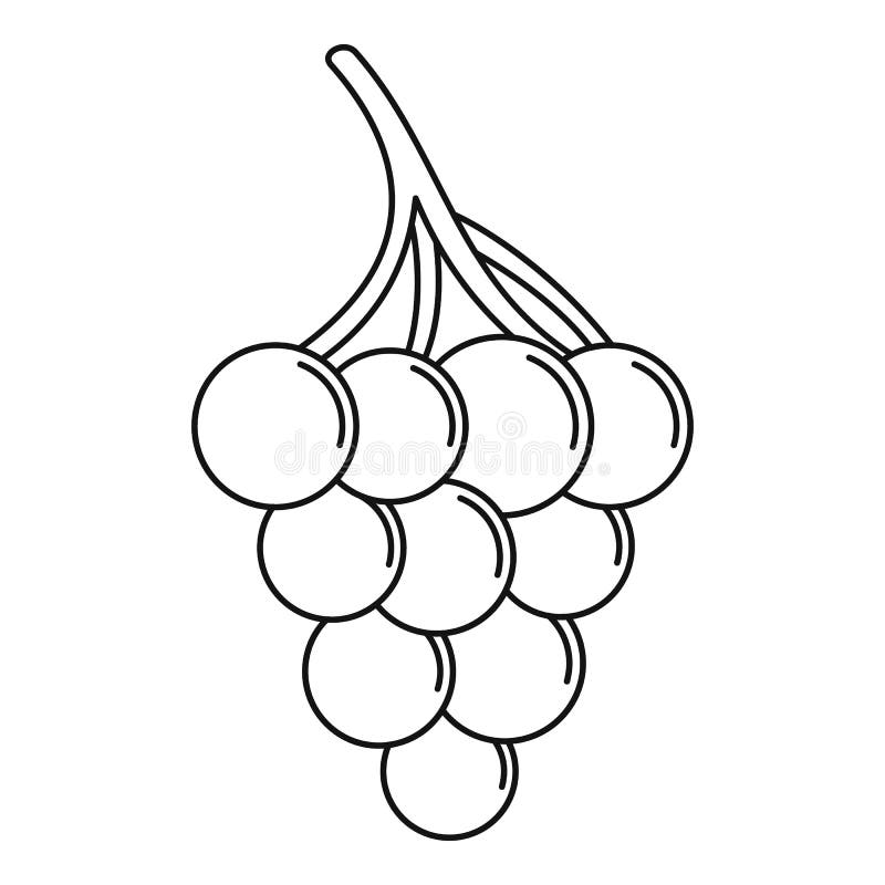 Cluster Grape Icon, Outline Style Stock Illustration - Illustration of ...