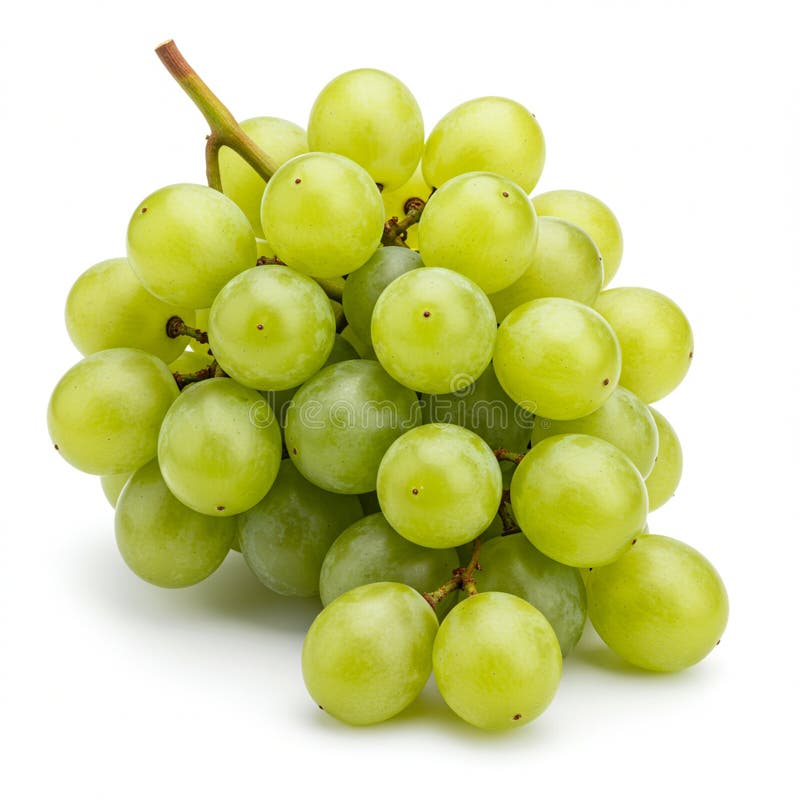 A Cluster of Green Grapes (Vitis Vinifera) Rests on a White Background ...