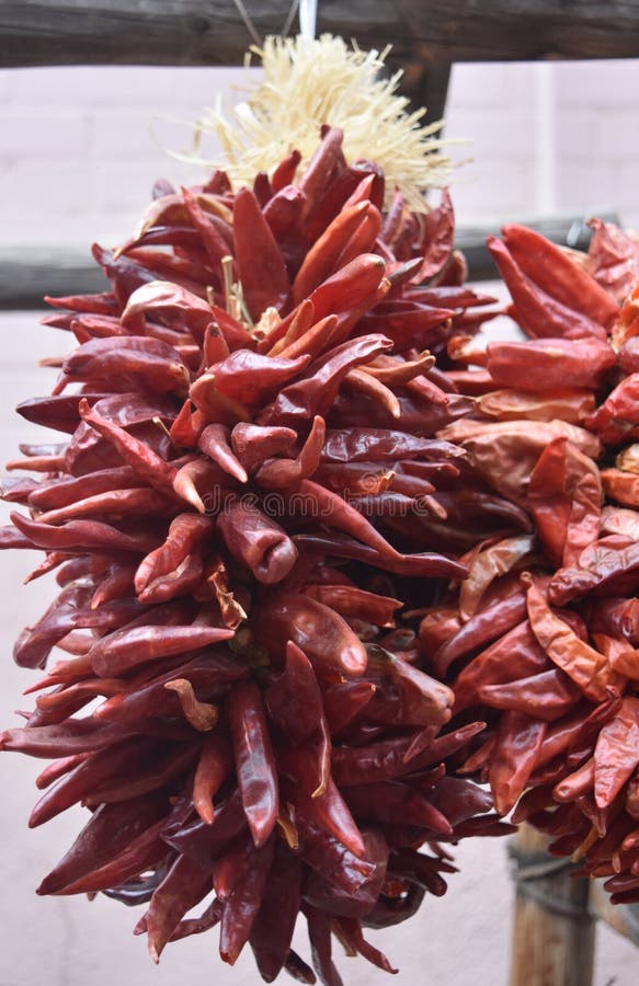 Cluster of Hanging Red Chili Peppers in New Mexico Stock Image - Image ...