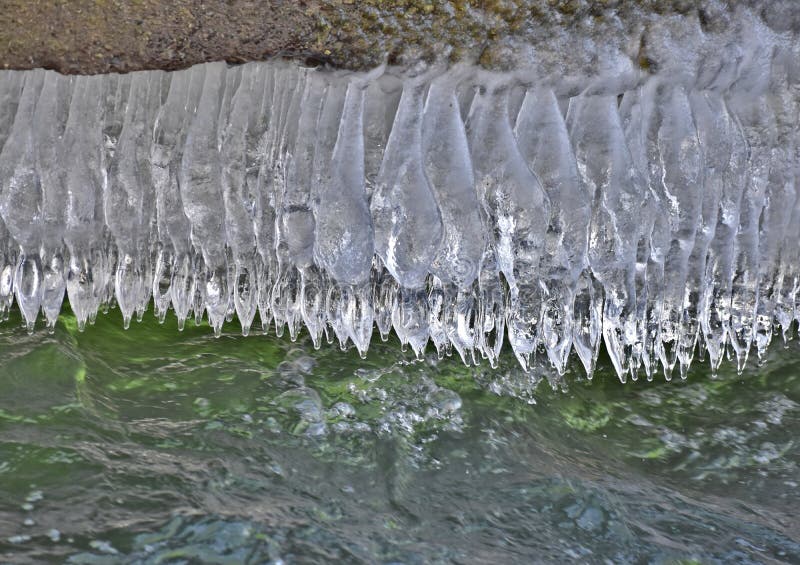 Cluster of Ice Cycles stock photo. Image of cave, polar - 265203258