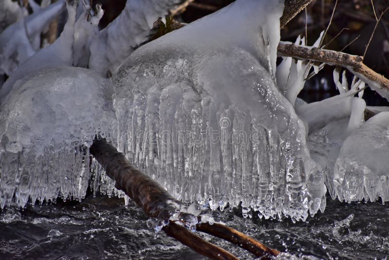 Ice Cycles on Branches stock image. Image of icicle - 265201765