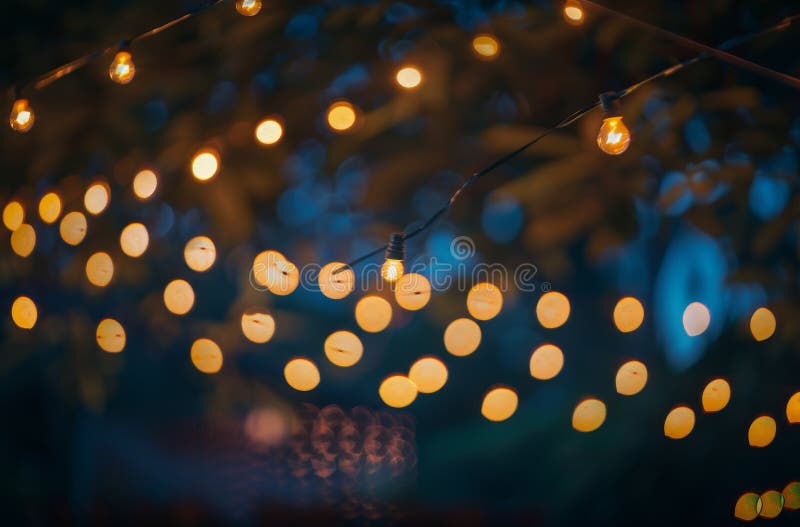 Cluster of Lights Adorning a Tree Stock Image - Image of colorful ...