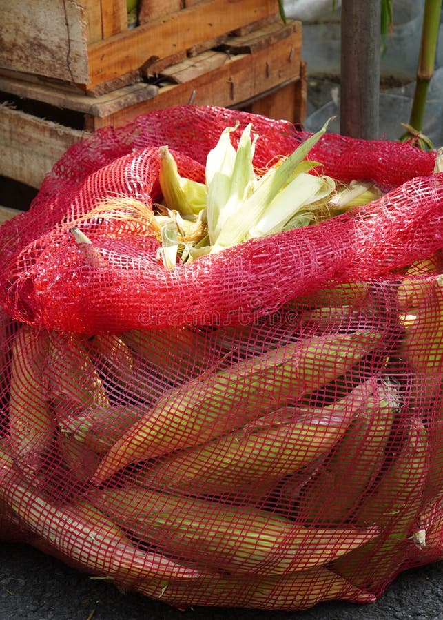 A Cluster of Perfectly Ripe Corn Kernels that Have Not Been Peeled and ...