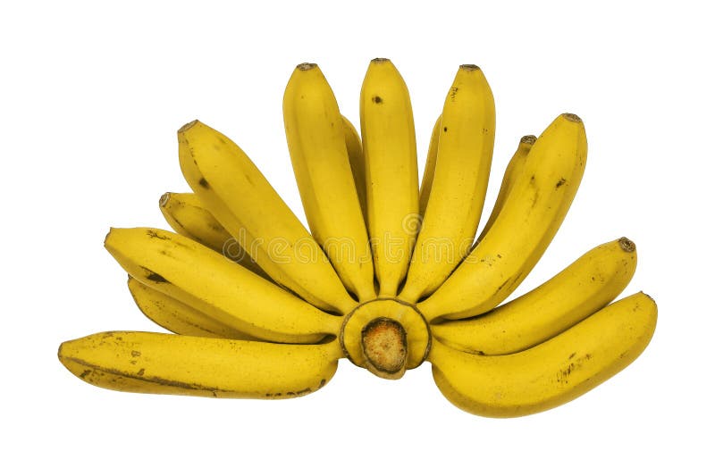 Cluster of Real Yellow Ripe Banana Isolated on White Stock Photo ...