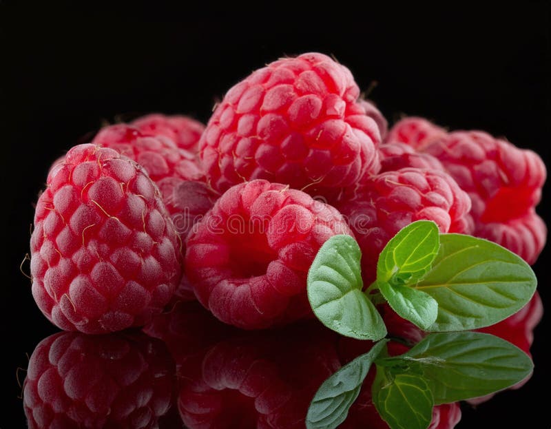 Ripe Raspberries with Foliage Stock Illustration - Illustration of ...