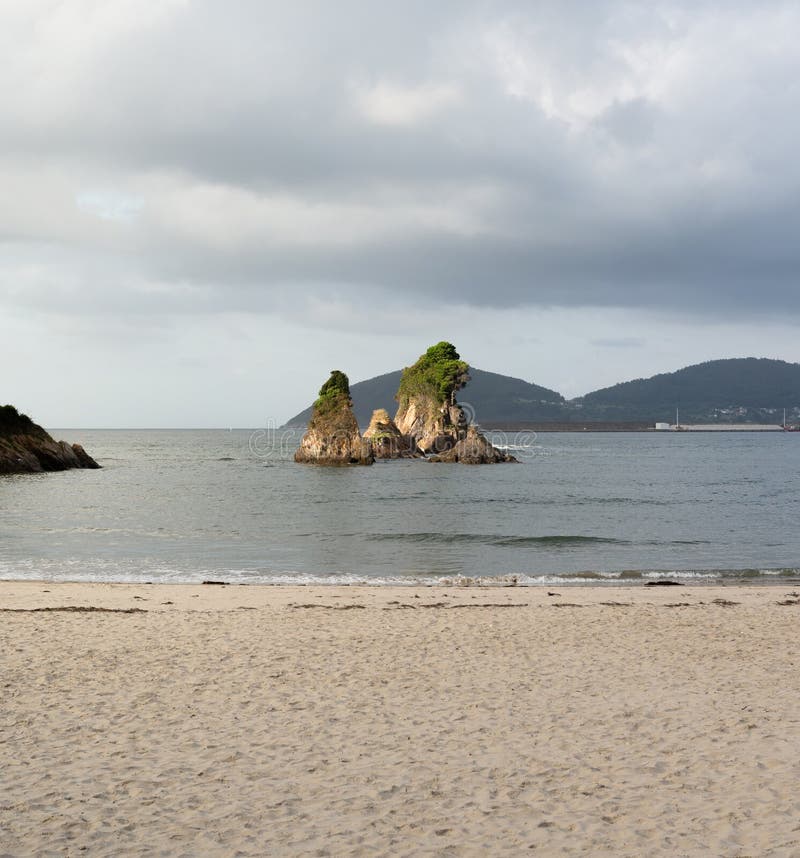 A Cluster of Rocks at the Bottom of the Sea. Rocks with Trees on Top ...