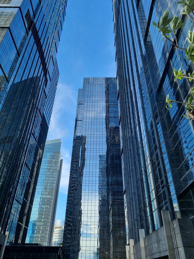 Cluster of skyscrapers stock photo. Image of skyline - 262452856