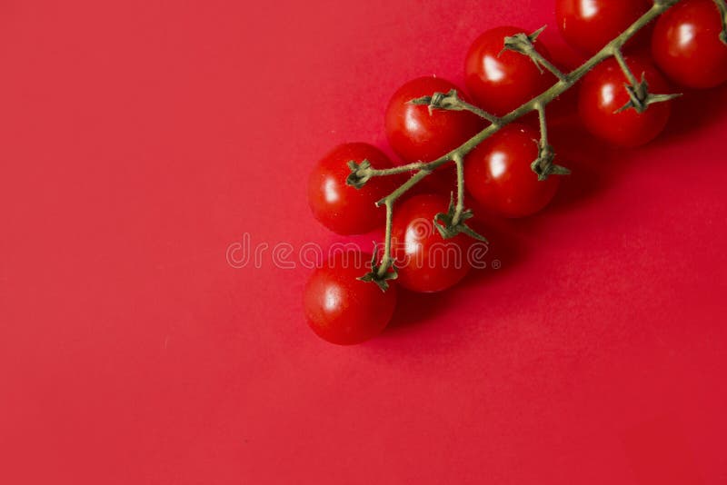 Cluster tomato on red stock photo. Image of food, tomatoes - 95586720