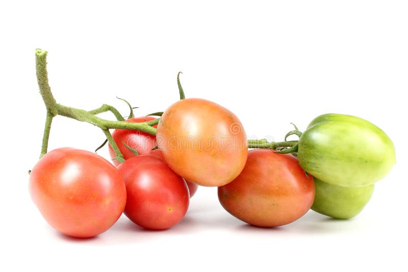 Cluster of tomatoes stock image. Image of organic, isolated - 50812555