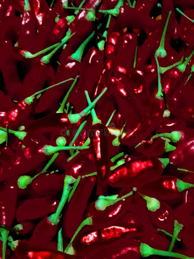Clustered Red Chilies Background Looks Abstract Red and Green Colors ...
