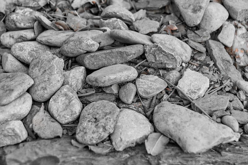 Clustered Rocks Together with Some Small Branches Stock Image - Image ...