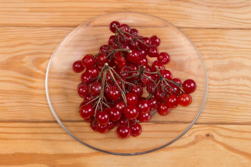 Clusters of Ripe Viburnum Berries on Saucer on Rustic Table Stock Photo ...