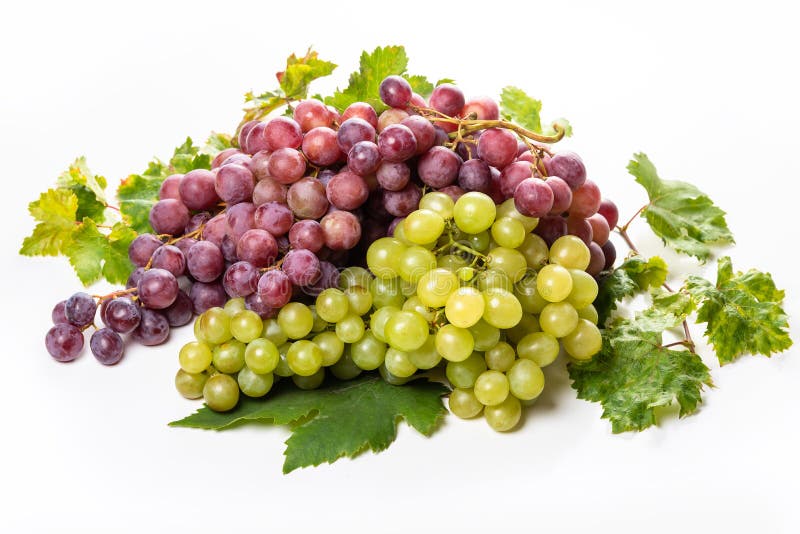 Clusters of White and Pink Grapes and Grape Leaves on a White ...