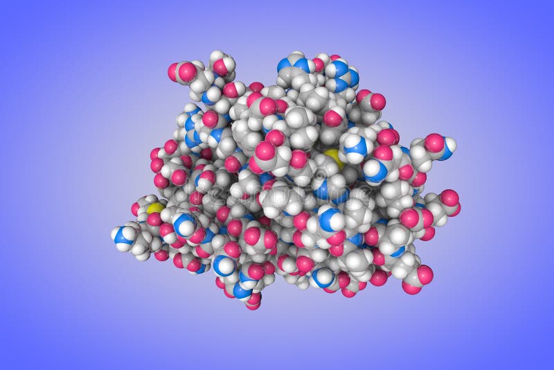 CMP Kinase of Streptococcus Pneumoniae. Molecular Model Stock ...