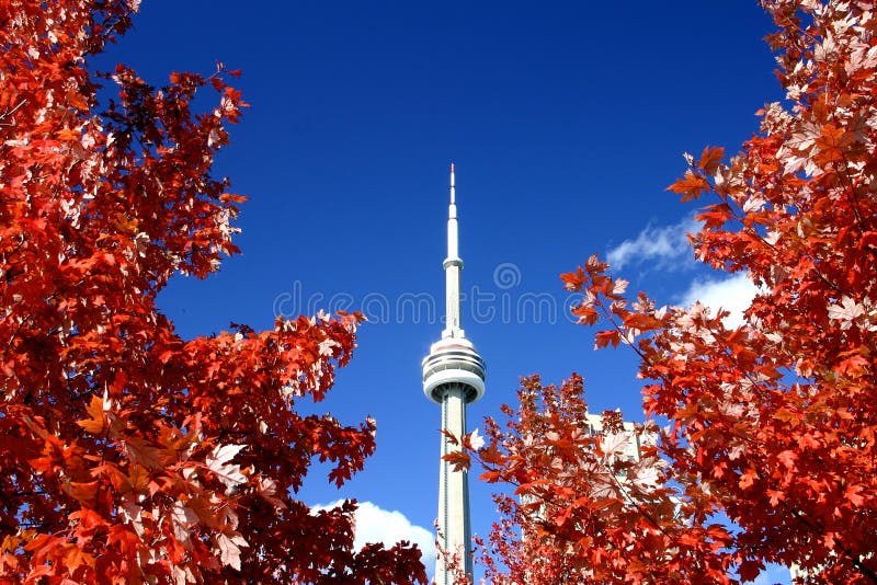 Toronto Skyline and Fall Colors Editorial Stock Image - Image of ...